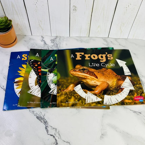 Pebble Plus | Other | Pebble Plus Book Lot Frog Bean Butterfly ...